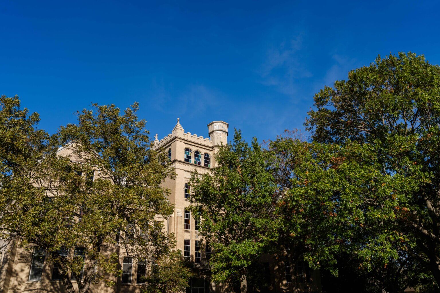 MyNelson Students - Nelson University